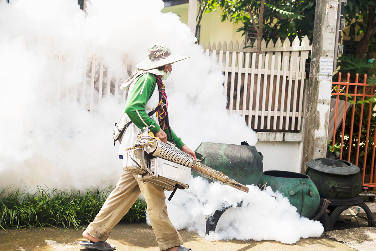 Thermal fogging disinfection – INSECT TRAP